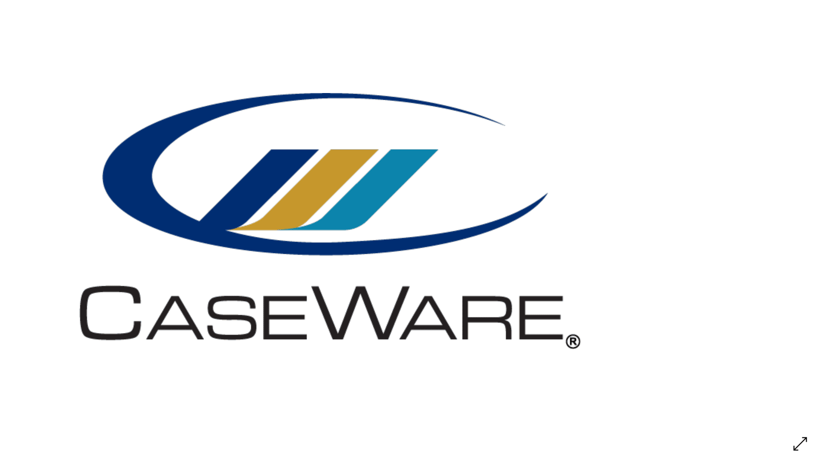 Caseware idea software review - grandmzaer